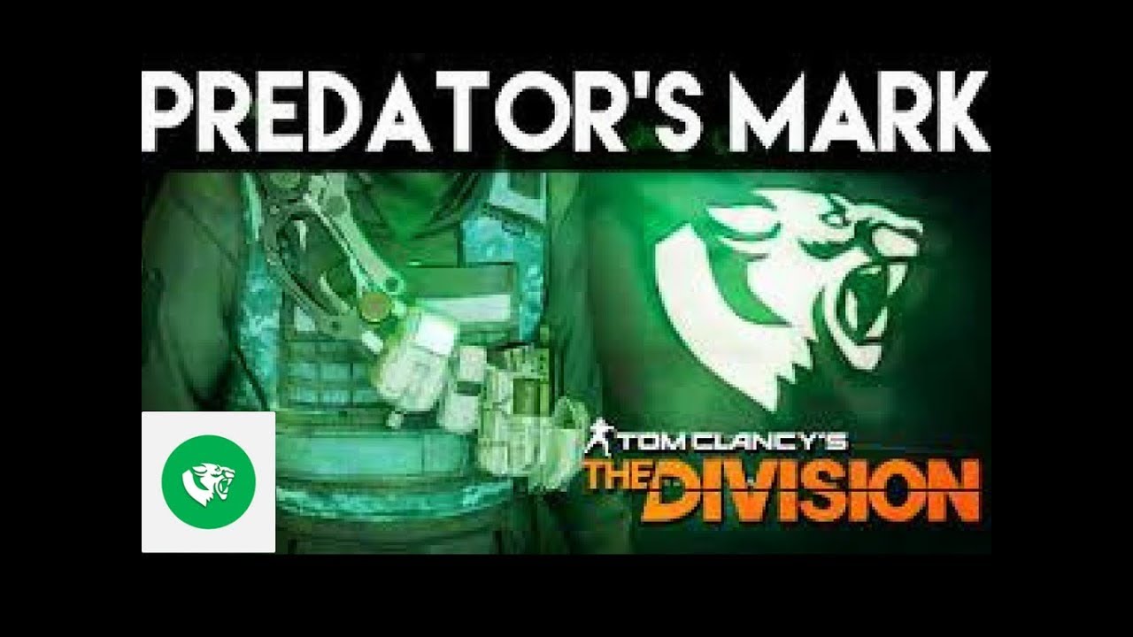 The Best Predator's Mark Build | The Division - YouTube