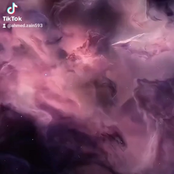 ٥ نوفمبر ٢٠٢٤ - YouTube