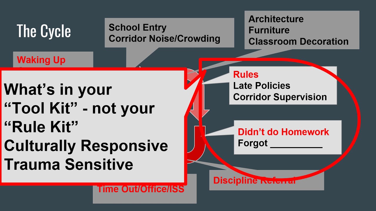 Trauma Cycle: What does School do? What can School do? - YouTube