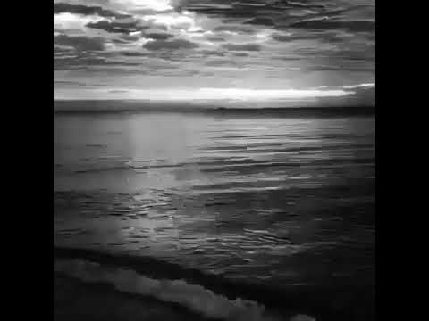 Xeyallara Aparan Video❤♥