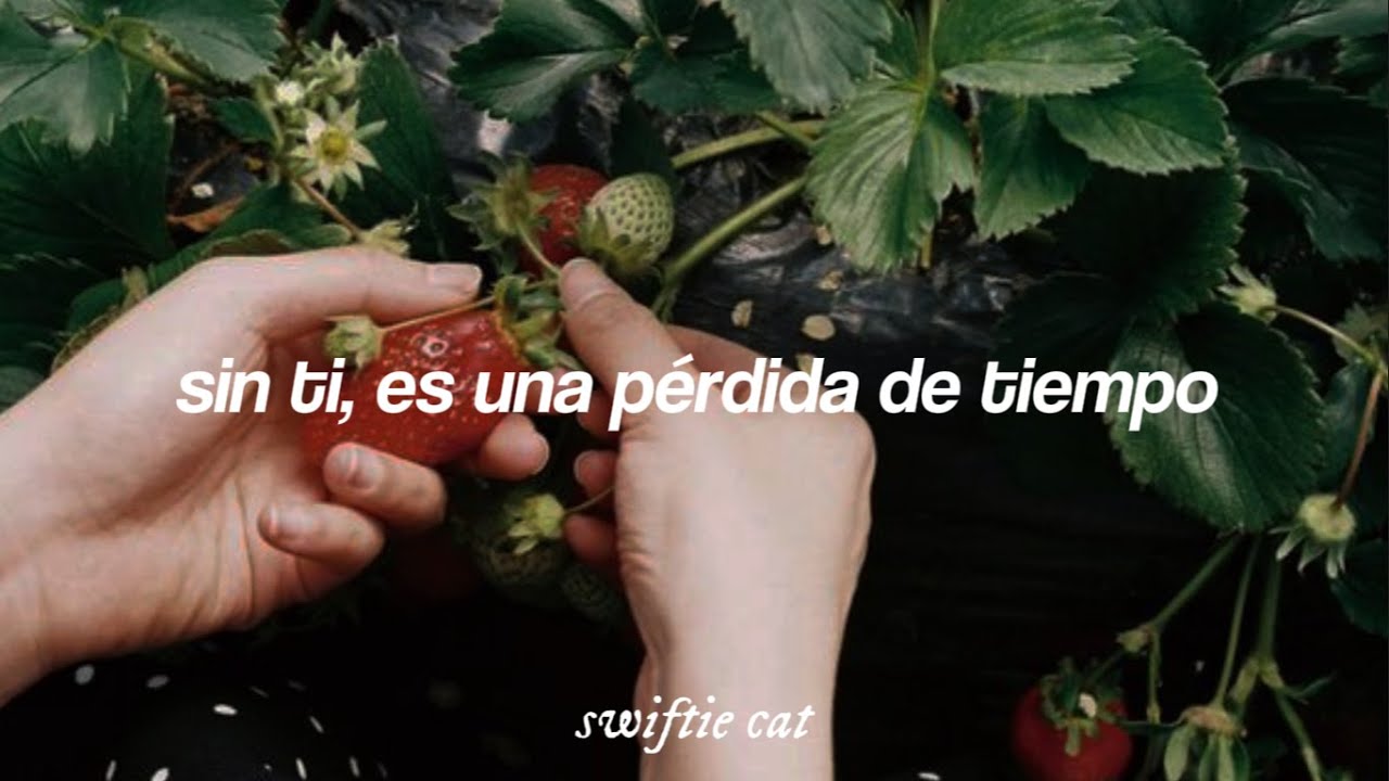 Coldplay - Strawberry Swing // Español - YouTube