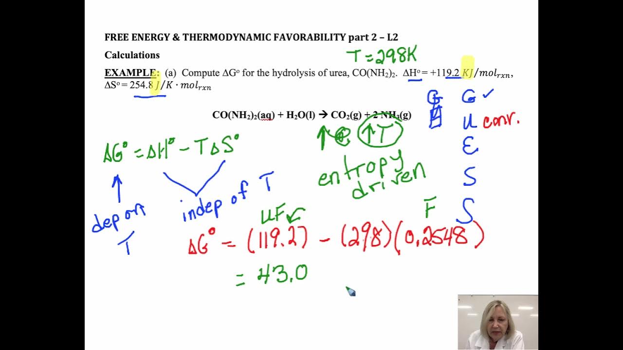 Free Energy & Thermodynamic Favorability #2 - YouTube