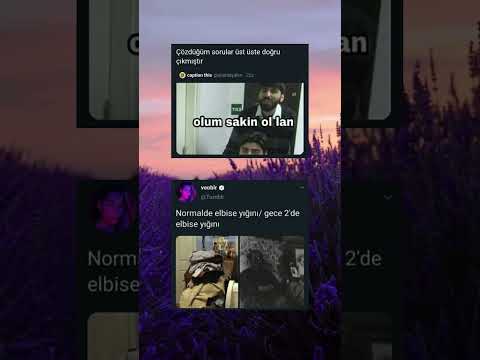 lan olum sakin ol lan.. #memes #komedi #komik #fypシ゚viral #shortsvideo #keşfet  #funny #gulmeme