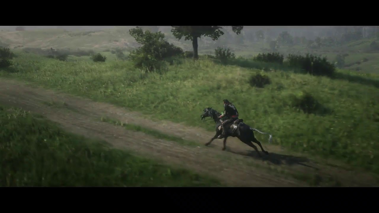 Red Dead Redemption 2 Online Citadel Rock Treasure map Location's - YouTube