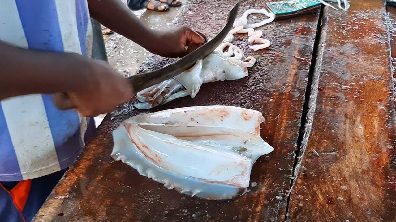Squid Fast Cutting Skills in Sri Lanka🇱🇰| Cuttlefish |ASMR Cutting Very ...