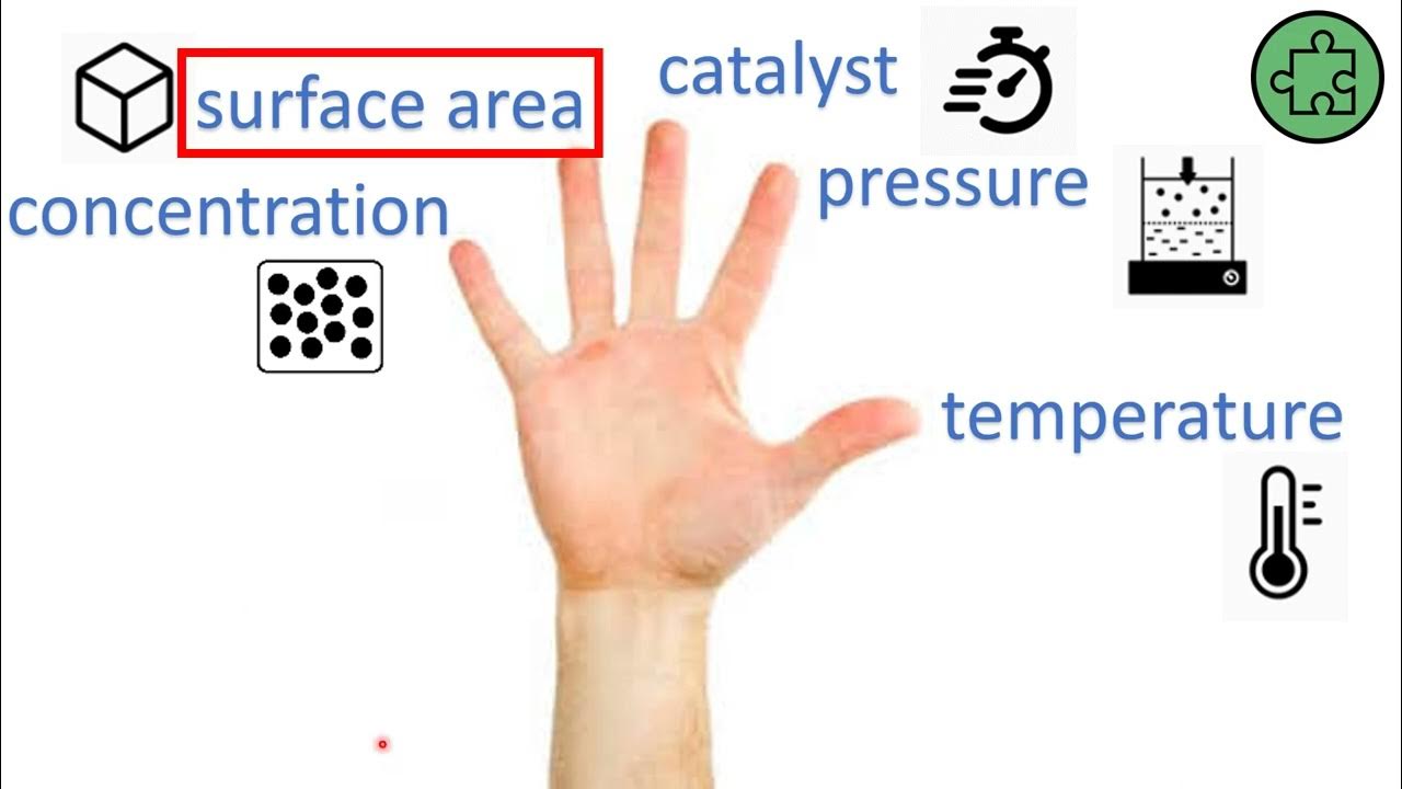 Pressure and surface area. Unit 5. Lesson 7 - YouTube