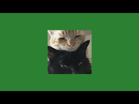 миша марвин - с ней (speed up)