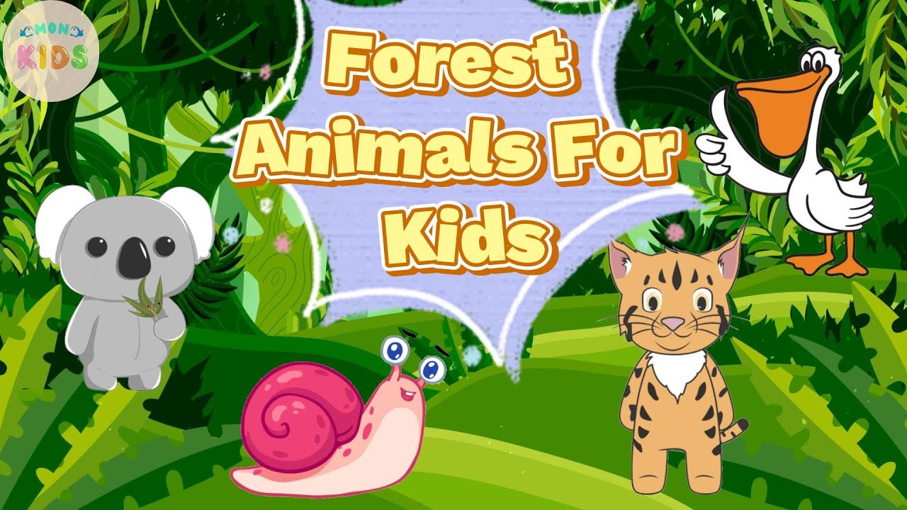 Learn the Names of Forest Animals For Kids 🐨 Forest Animals Video For ...