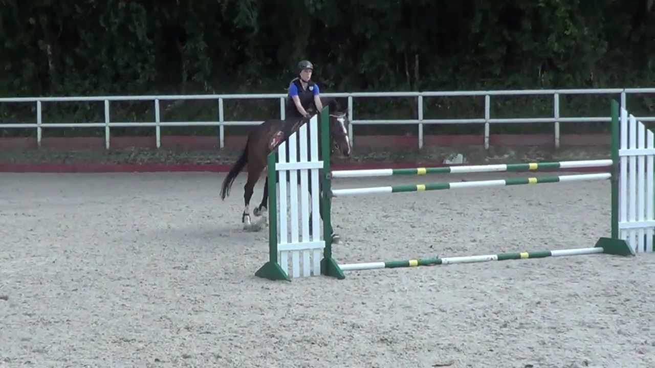 Jumping Leroy in Clive Reed Clinic and other tings - YouTube