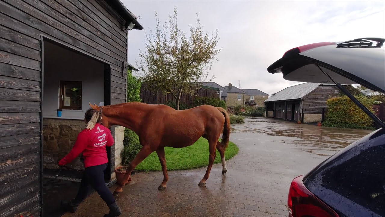Pinkham Equine Client Testimonial 2: Glebe Farm Stud. - YouTube