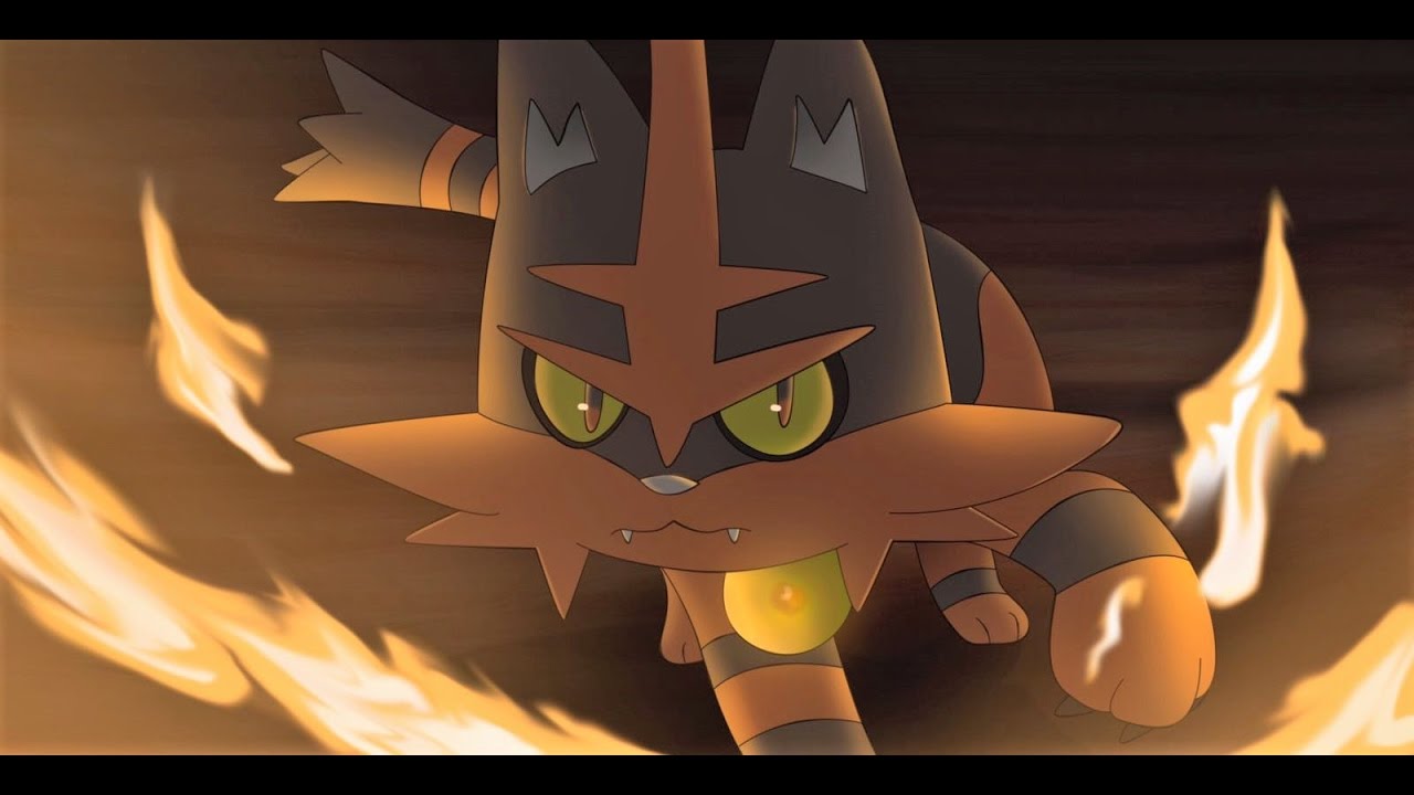 Deadly SHINY Torracat Sweep 6v6 SUN & MOON - YouTube