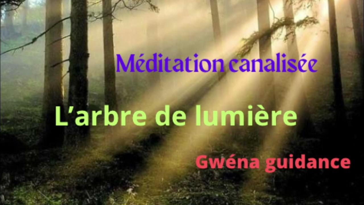 MÉDITATION L'ARBRE DE LUMIÈRE - YouTube