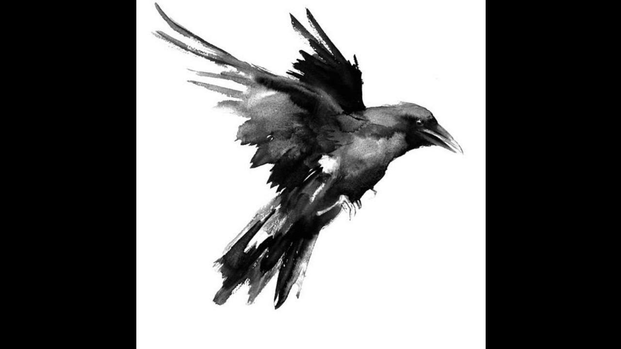 fly backward raven ~ Bravo TK mix ~ by Goldsworthy - YouTube