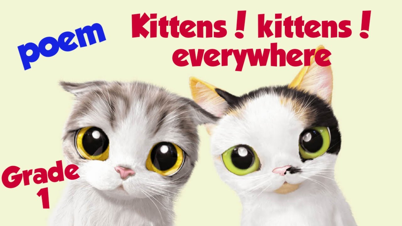 kittens kittens everywhere|EnglishPoem|Kittens Kittens poem ...