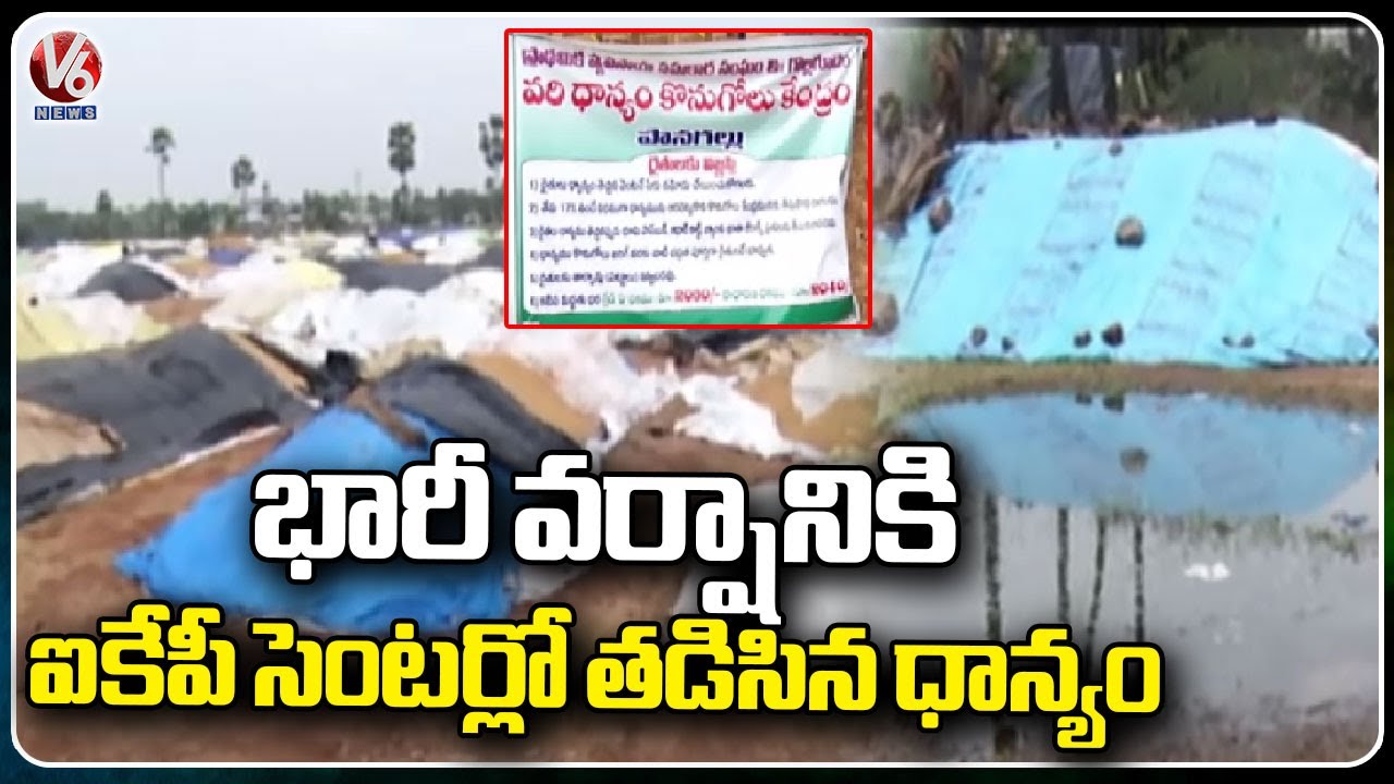 Heavy Rains Lashes In Nalgonda, Paddy Damaged At IKP Centers | V6 News ...