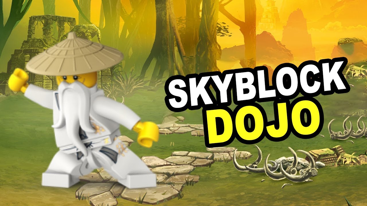 The dojo is a fun addition to hypixel skyblock - YouTube