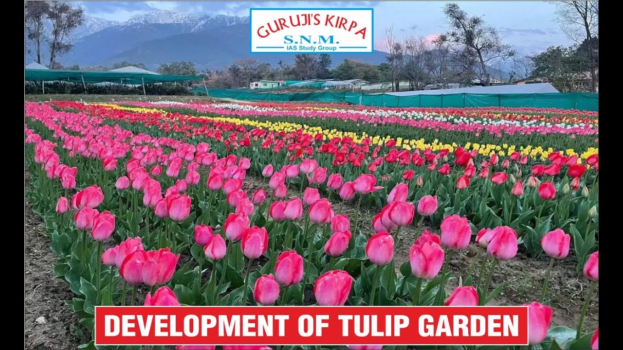 DEVELOPMENT OF TULIP GARDEN TO BOOST TOURISM #exampreparation - YouTube