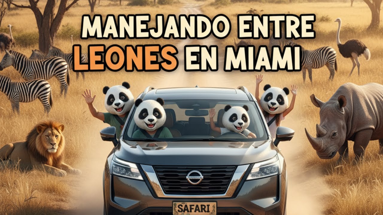 MANEJANDO ENTRE LEONES EN MIAMI - YouTube