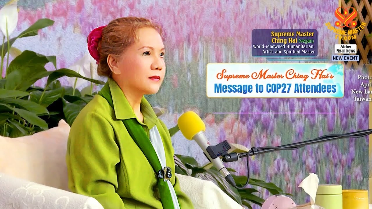 🏳‍🌈[ New] COP27 참석자들에게 보내는 칭하이 무상사 메시지 Supreme Master Ching Hai’s ...