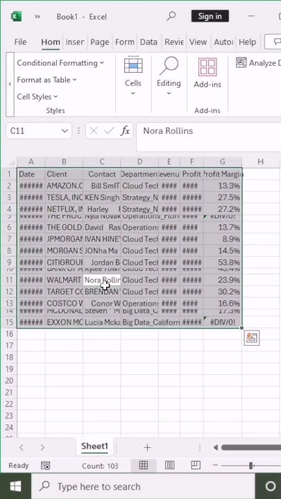 How to Autofit Columns and Rows in Excel - YouTube