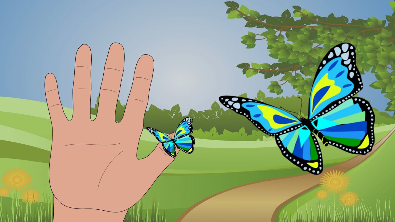 Finger Family Song with Butterfly – Kids Nursery Rhymes from Fun Finger ...