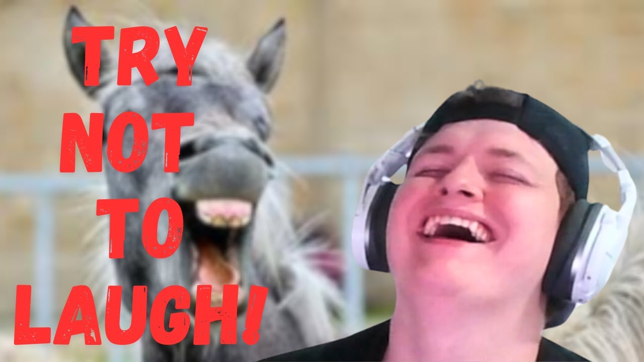 Try Not To Laugh #1 - YouTube