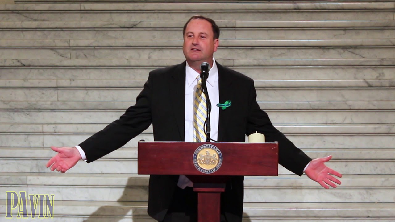Stephen Meehan --Speaker, Parental Alienation Awareness Day - PA - YouTube
