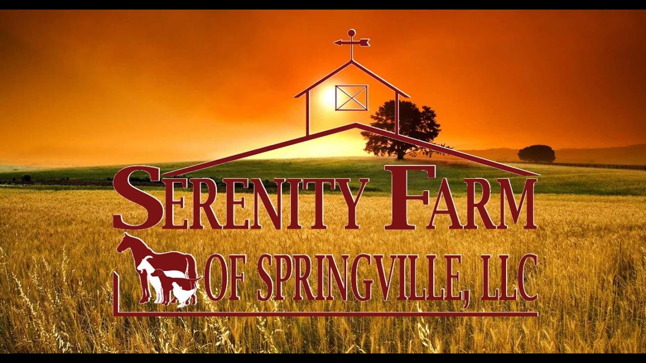 Introduction To Our Farm - YouTube