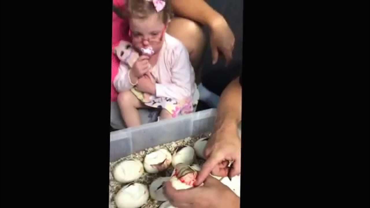 Been looking forward to seeing what we made with our Burmese Python ...