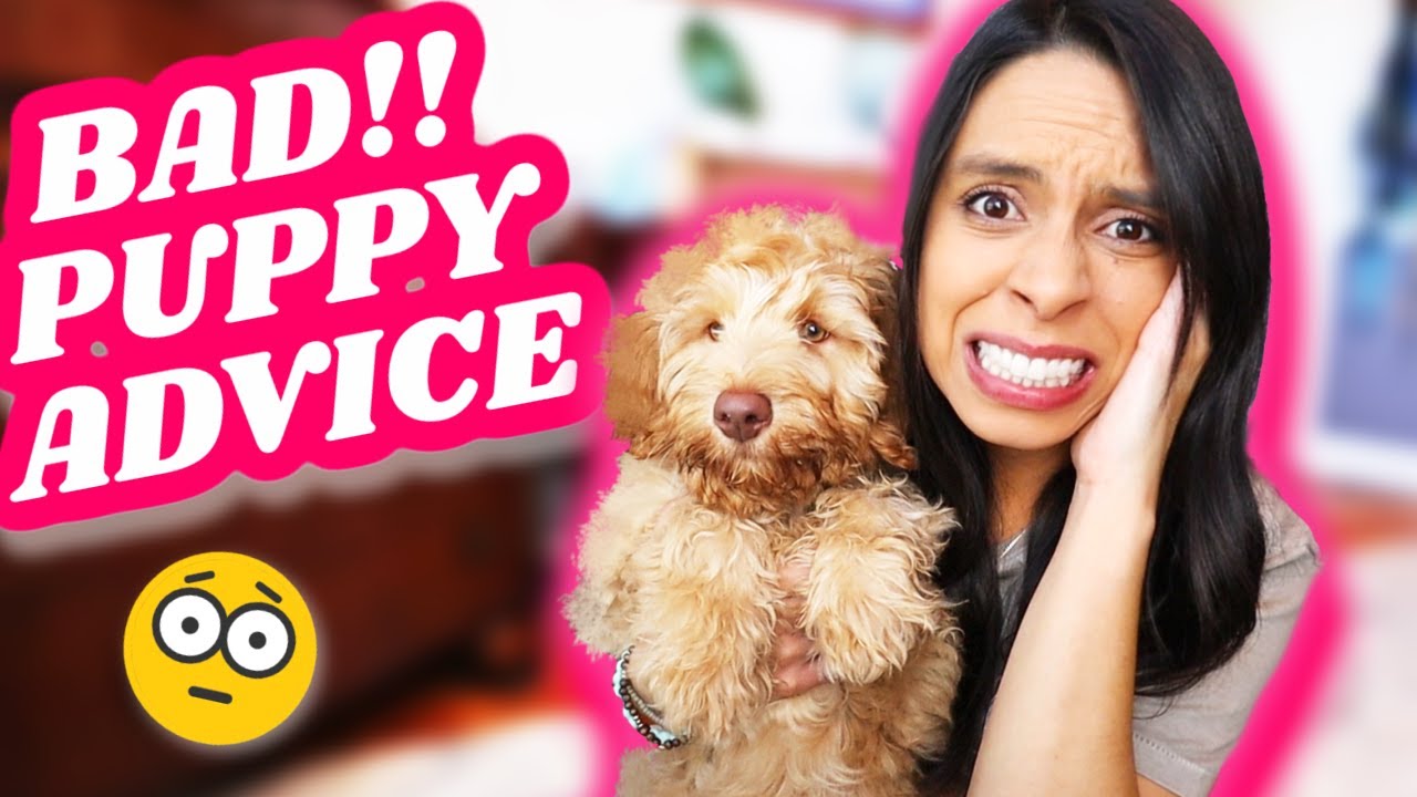 COMMON PUPPY MISTAKES TO AVOID! 😮 Too many pet parents follow this bad ...