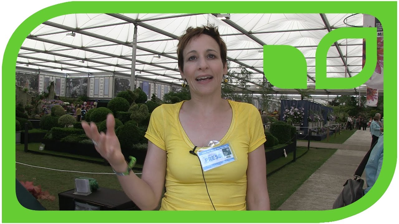 Sabine Reber: erster Tag Chelsea 2014 - erster Eindruck - YouTube