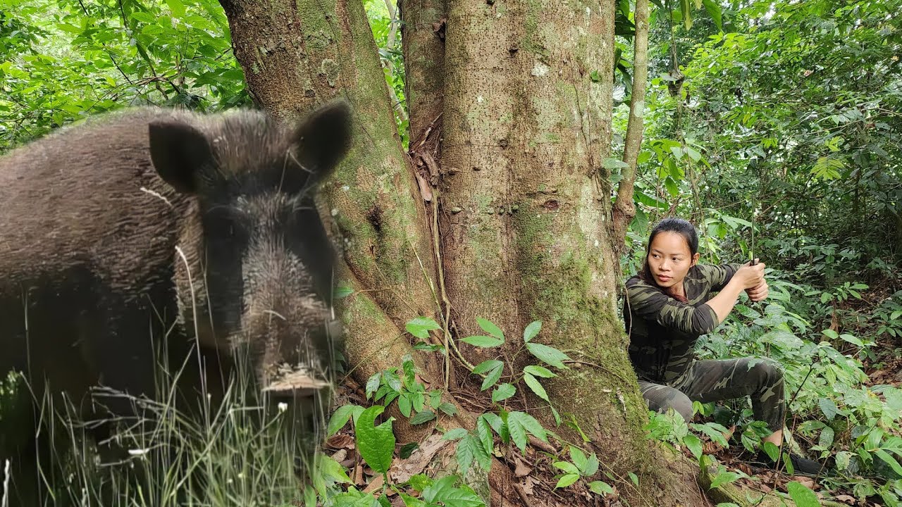 Set A Trap Tor Wild Chickens And Be Attacked By Ferocious Wild Boars ...