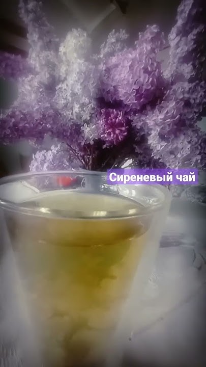 ЧАЙ С СИРЕНЬЮ И ФИНИКАМИ #shorts #reaction #ссср #чай #жизнь - YouTube