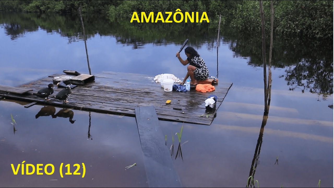 17 DIAS EM UMA COMUNIDADE RIBEIRINHA NO LAGO AMANÃ - AMAZONAS. VÍDEO ...