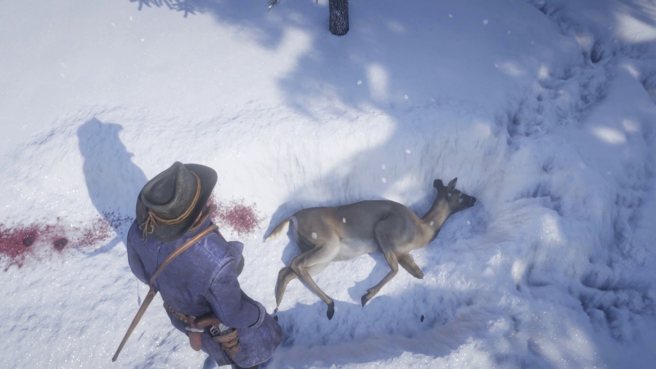 Red Dead Redemption 2 Cervo - YouTube
