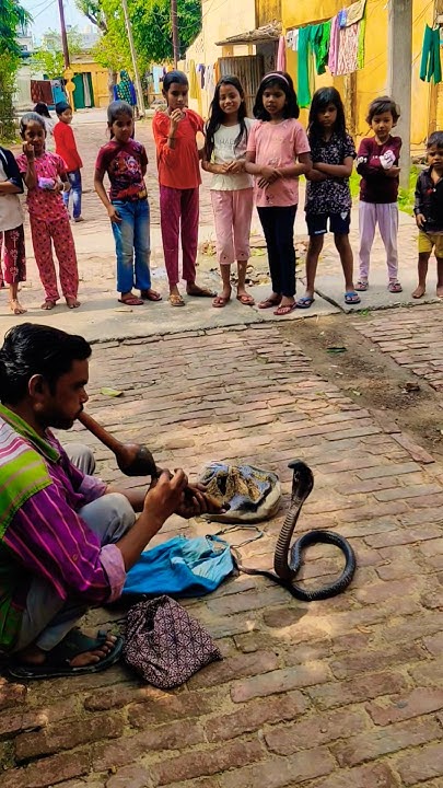 kon kon Mahadev ka bhakt hai... - YouTube