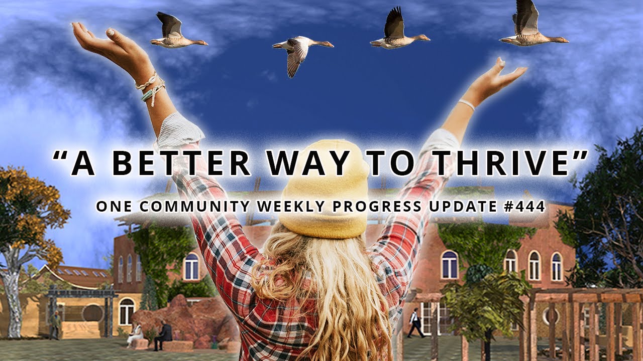 A Better Way to Thrive - One Community Weekly Progress Update #444 ...