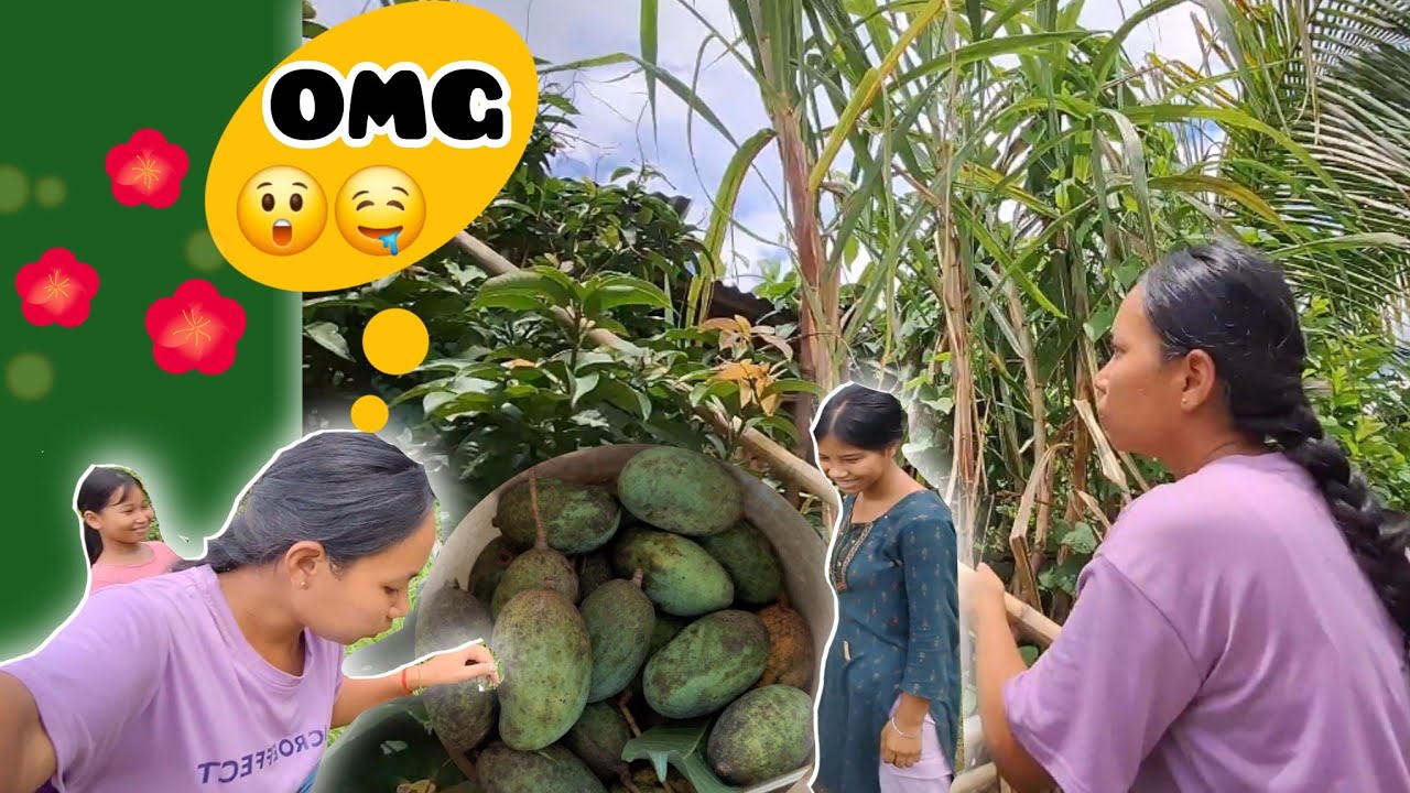 mango🥭 machai tg khu chug le🤤/jolejak kha abang😱 - YouTube