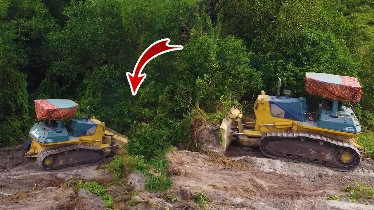 Dozer pushing Trees Amazing Huge Land Reclamation Strong Power Dozer ...
