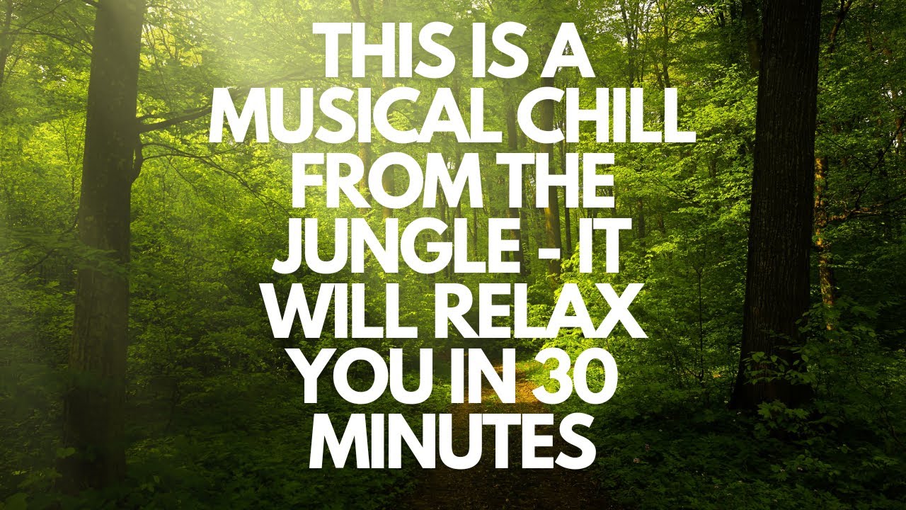 This is a Musical Chill from The Jungle - it will Relax you in 30 ...