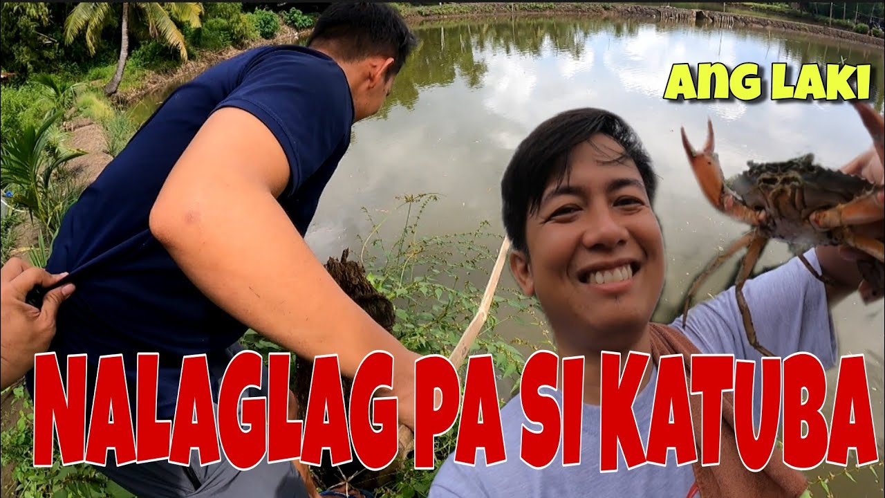 KASAMA SI @Katubaofficial783 MANG HULI NG ALIMANGO SA KUBONUTO I TEAM ...