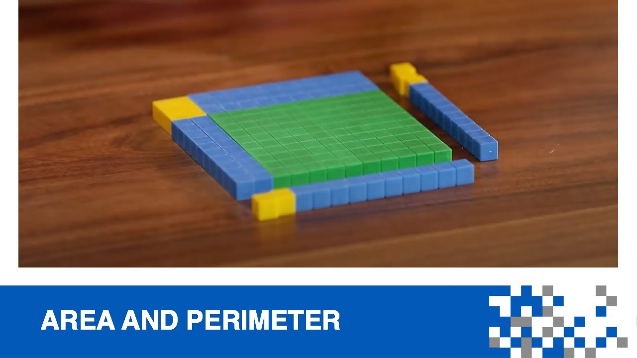 Area and Perimeter (English) - Full Concept - YouTube