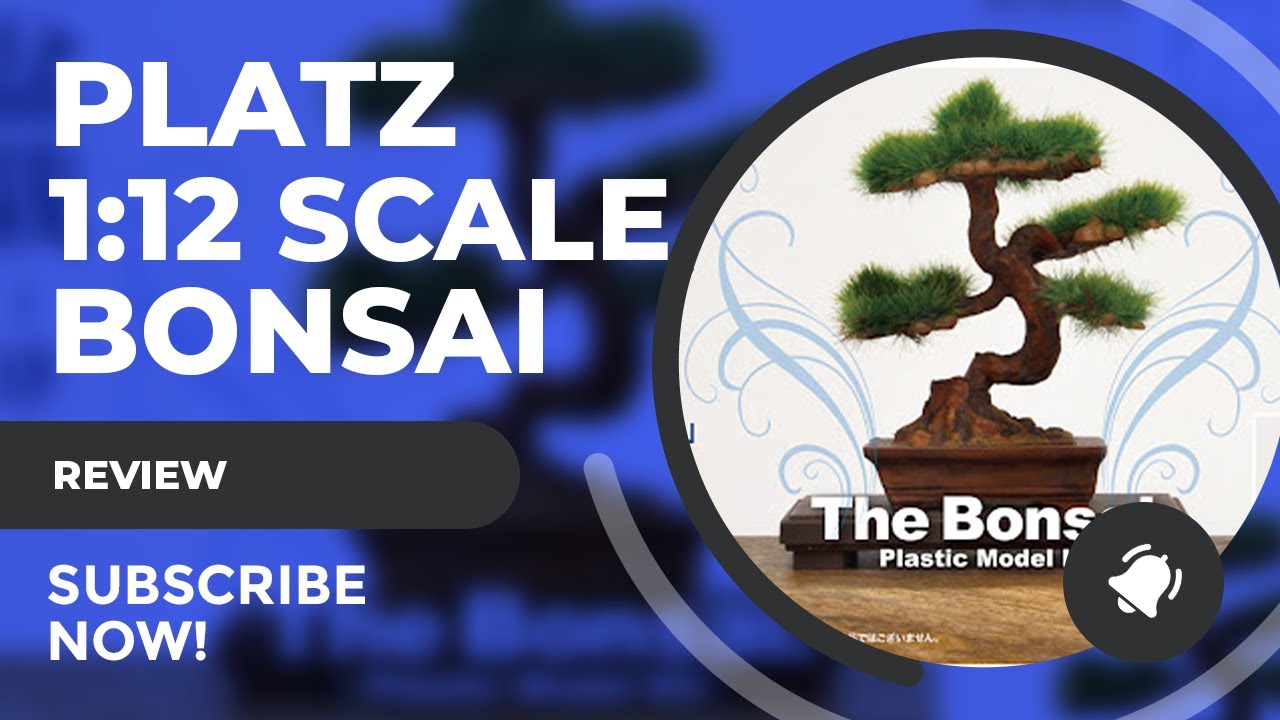 Review: Platz 1:12 Bonsai - YouTube