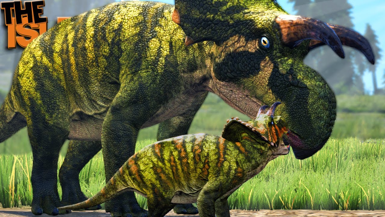 Minha Mãe Me Abandonou, Família Avaceratops, Carnívoros A Espreita ...