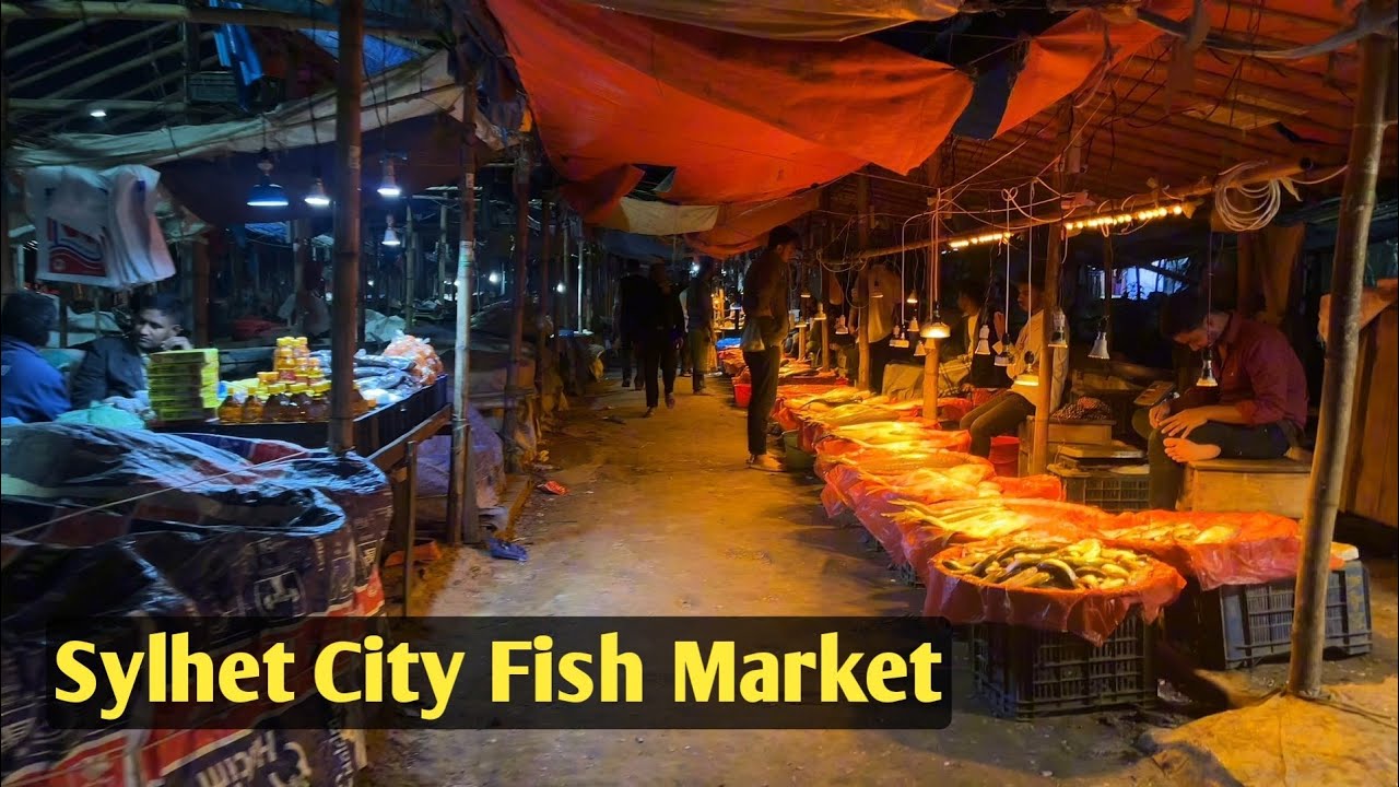 Sylhet City Fish Market - সিলেট সিটি মাছ বাজার - YouTube