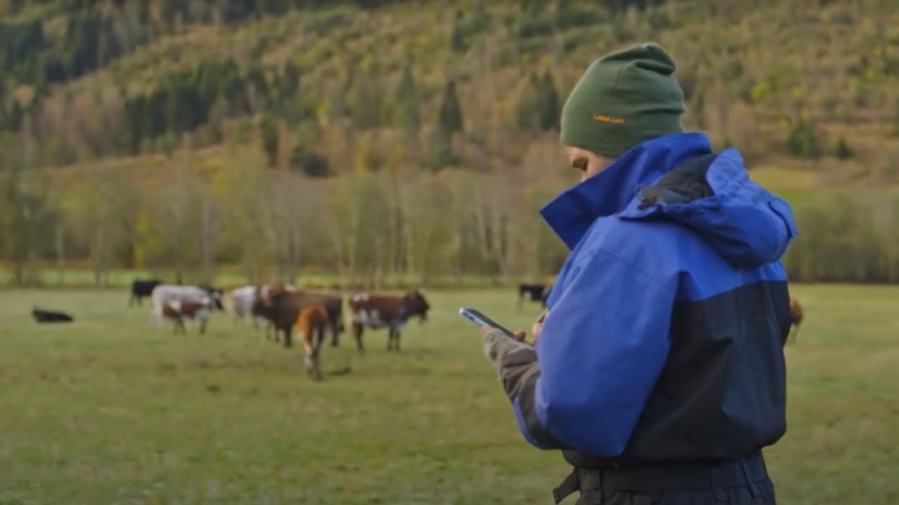 Introduction to Nofence virtual fencing technology - YouTube