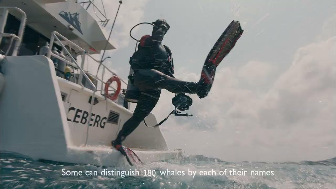 Cgtn Unedited Trailer - YouTube