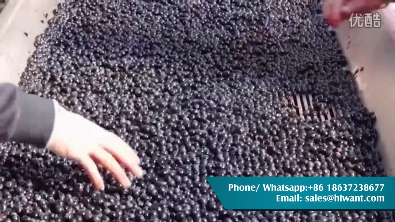 Grape Destemming Machine -- Fruit Wine Making Equipment - YouTube