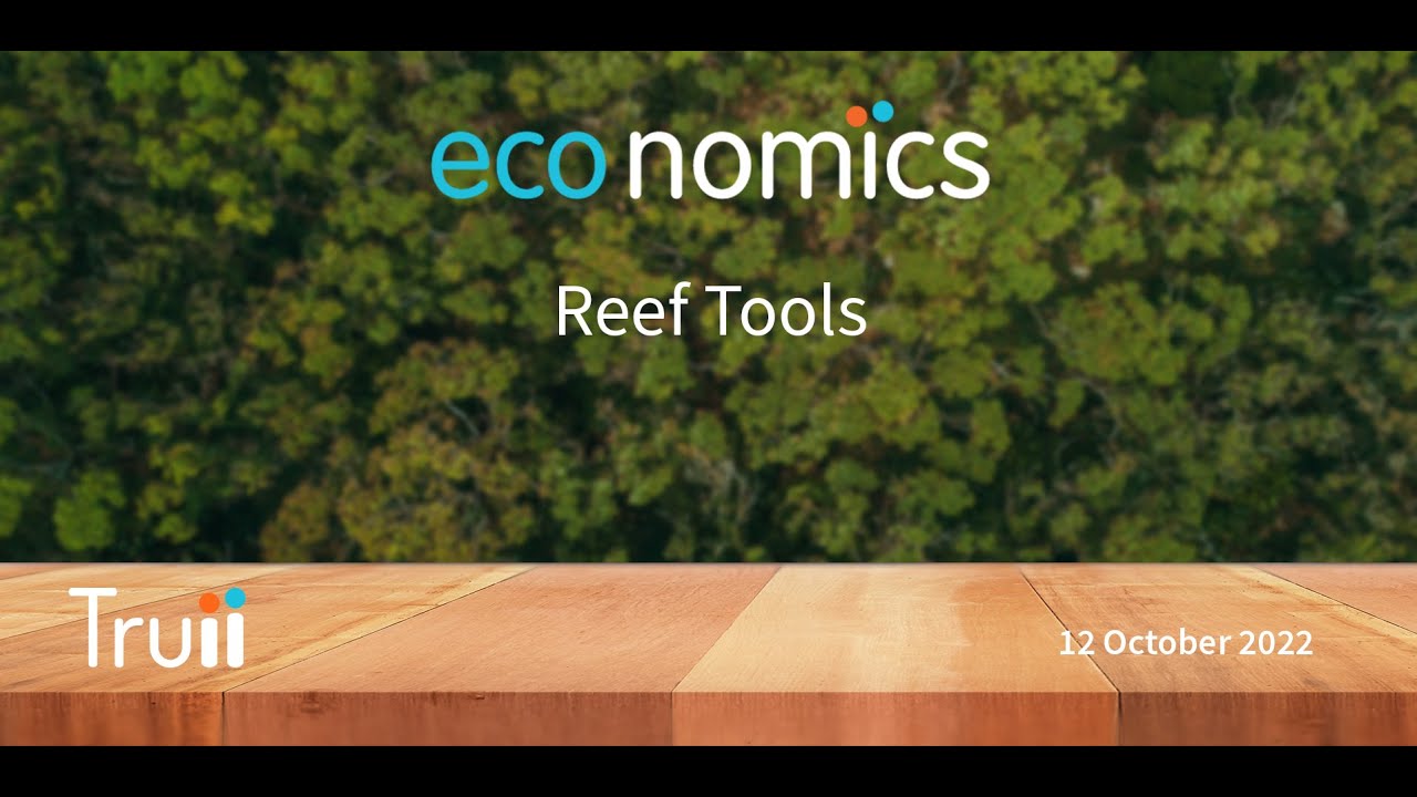 eco-nomics reef tools - YouTube