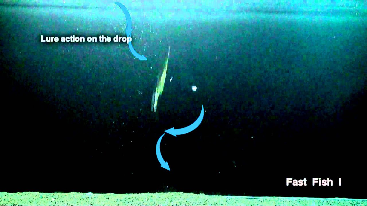 Fast Fish Ⅰ - YouTube